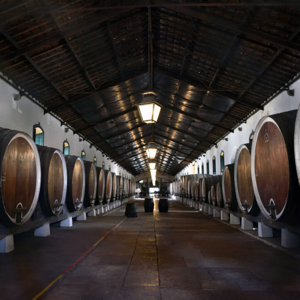 Adega Regional de Colares - PMC Wine & Food