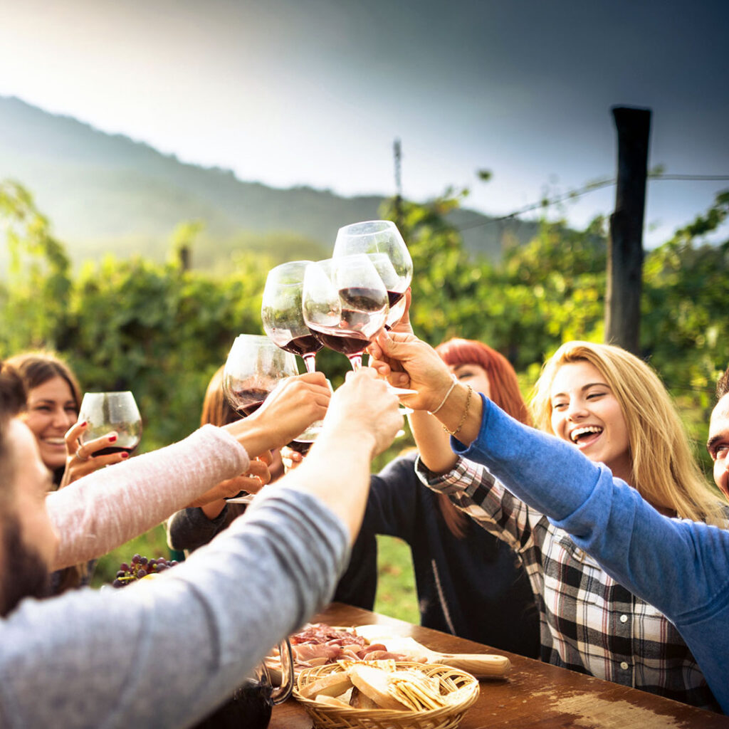 PMC Wine & Food - PMC Wine & Food